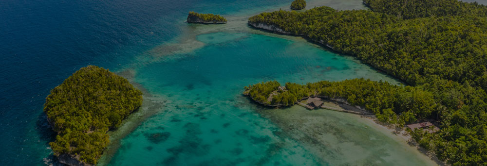 Neptune Banda Sea Liveaboard - Updated 2026 Prices