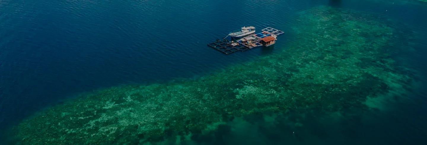 Raja Ampat Islands: A Paradise for Nature Enthusiasts