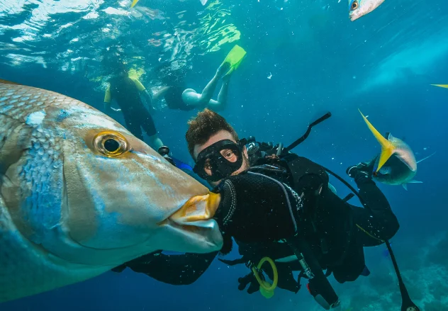 Scuba Diving : Best Guide 2023 From Basic to Advance