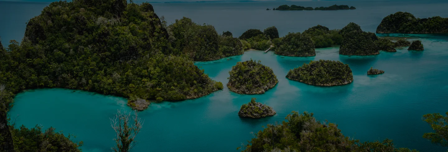 Raja Ampat Dive Resort - Your Dive Destination of Dreams